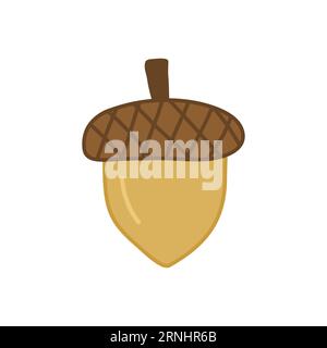 Acorn or oaknut, doodle style flat vector outline illustration for kids ...