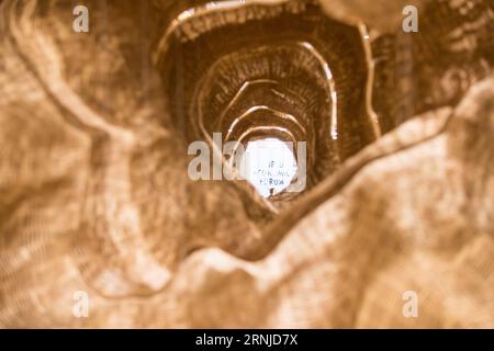 Emblem of the WEF (World Economic Forum) in Davos Stock Photo - Alamy