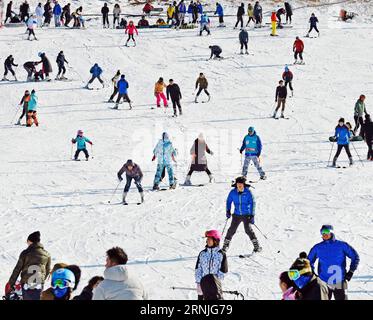 (170124) -- SHENYANG, Jan. 24, 2017 -- Tourists enjoy the hot spring in ...