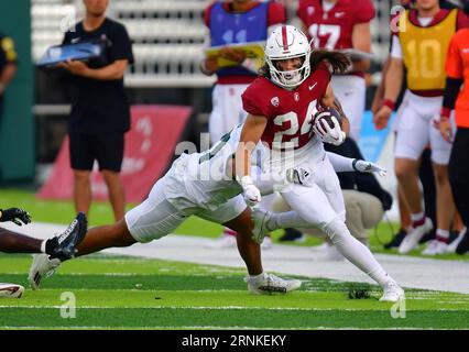 Hawaii linebacker Isaiah Tufaga (17) chases New Mexico State running ...