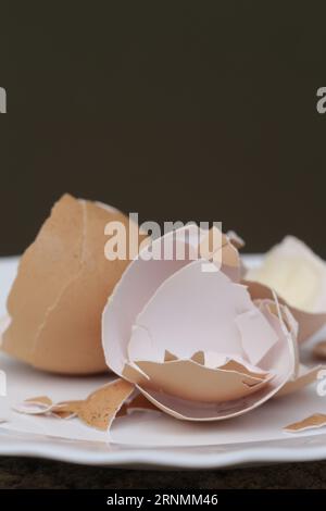 Crushed egg shell on the plate, cn be used as a calcium and mineral ...