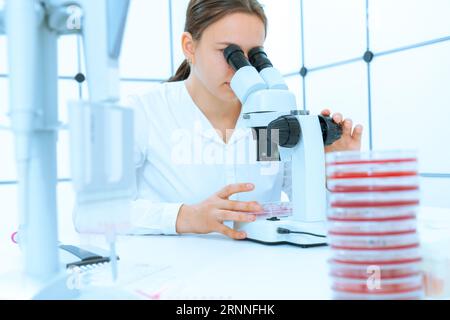 Animal morphology research: Microscopes are used to study the internal ...