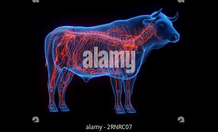 Cow's nervous system, illustration Stock Photo - Alamy