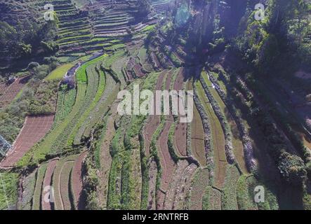 (171117) -- FUMIN, Nov. 17, 2017 -- Aerial photo taken on Nov. 16, 2017 ...