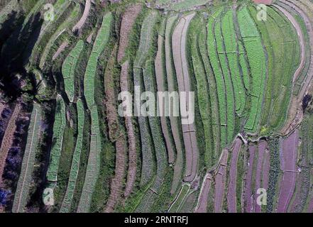 (171117) -- FUMIN, Nov. 17, 2017 -- Aerial photo taken on Nov. 16, 2017 ...
