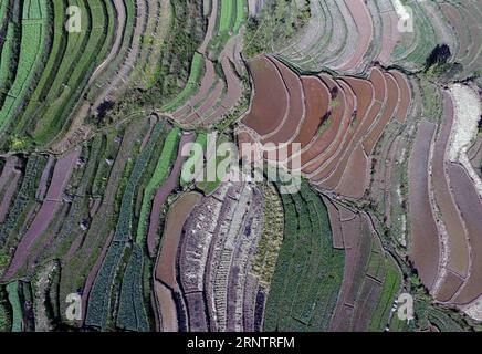 (171117) -- FUMIN, Nov. 17, 2017 -- Aerial photo taken on Nov. 16, 2017 ...