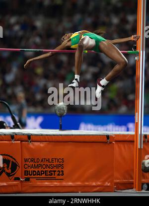 Lamara Distin of Jamaica competing in the women’s high jump final on ...
