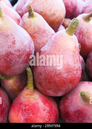 European Pear "Starkrimson" - Close Up Stock Photo - Alamy