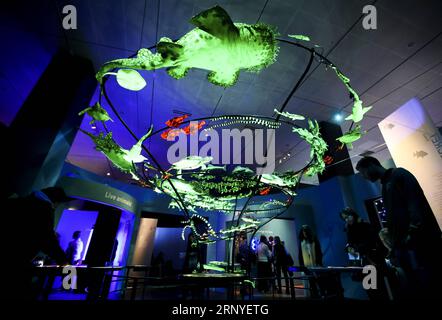 (180315) -- NEW YORK, March 15, 2018 -- A visitor looks at the ...