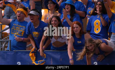 SEPT 2nd, 2023: Pitt fans during the Pitt Panthers vs Wofford Terriers ...