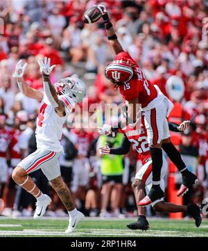 Ohio State Buckeyes wide receiver Carnell Tate celebrates after scoring ...