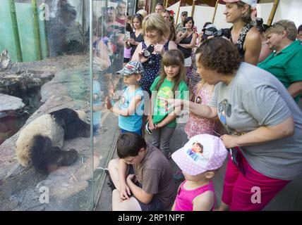 Giant pandas attract visitors in Harbin City, northeast China's ...