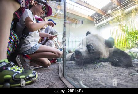 Giant pandas attract visitors in Harbin City, northeast China's ...