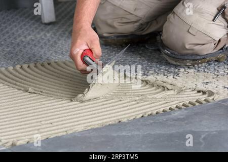 Construction worker applying adhesive mortar on a tile surface using a ...