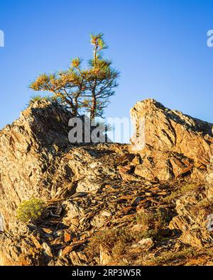 Sierra Buttes Fire Lookout in Sierra County California, USA from just ...