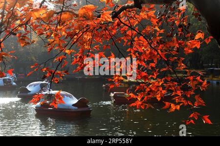 Winter scenery in Suzhou City, east China's Jiangsu Province, 15 ...