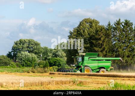 Combining Wheat. Farmington, New York. USA Stock Photo - Alamy