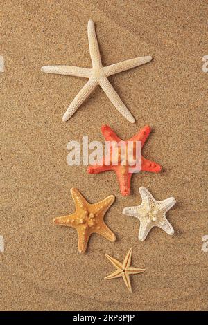 Sand with many beautiful sea stars and seashells isolated on white ...