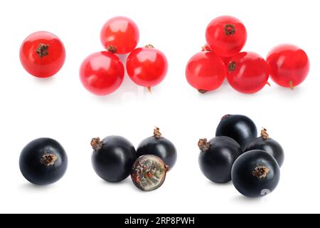 Set of different color currants isolated on white background cut out ...