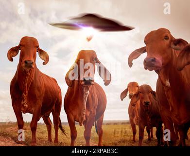 Ufo, spaceship light and cow abduction in countryside for mission ...