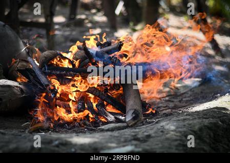 burning dried twigs for cooking Stock Photo - Alamy