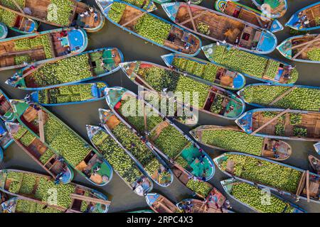 Aerial view of floating market of seasonal fruits on the boats in ...