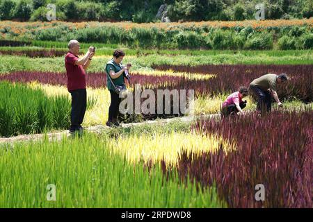 (190813) -- YILIANG, Aug. 13, 2019 -- Aerial photo taken on Aug. 12 ...