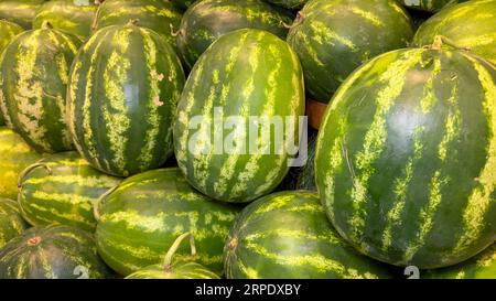 Watermelon. Stack of watermelons together at the grocery counter Stock ...