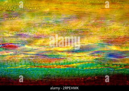The image presents nettle tissues in the transversal cross-section of ...