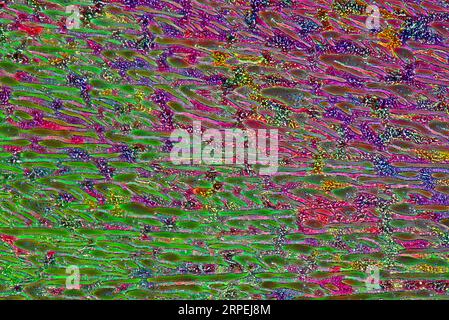 The image presents crystallized sulfur, photographed through the ...