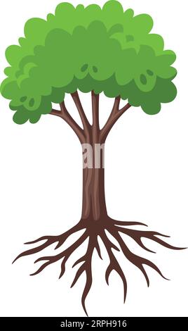 Tree root system, underground growing plants stems. Branched roots ...