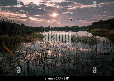 Jeddah Art Promenade. Jeddah City New Beach , Saudi Arabia Stock Photo ...