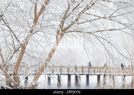Rime scenery in Harbin City, northeast China's Heilongjiang Province ...