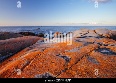 Lichen covered rock formations at the Gardens at sunset in the Bay of ...