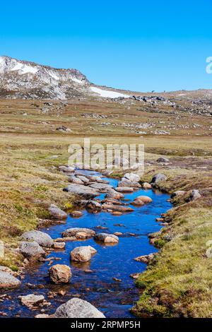 The Snowy River near Seamans Hut on a summer's day in Kosciuszko ...