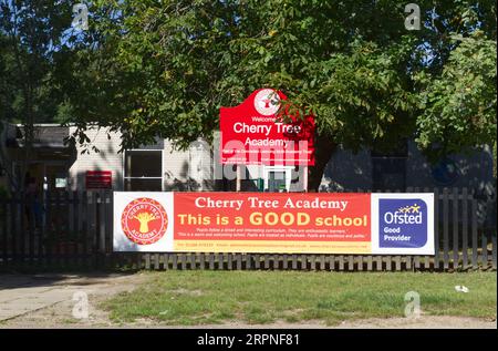 Cherry Tree Primary School in Lymm, Cheshire, England, UK, have created imaginative planters ...