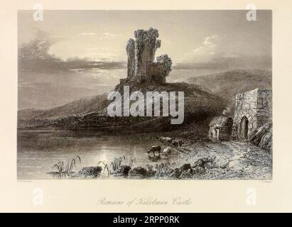Remains of Kilcolman Castle County Cork Ireland Stock Photo - Alamy