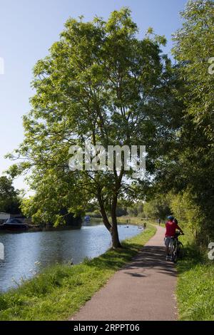 Cyclist by River Lea Navigation Canal near the QEII Olympic park in ...
