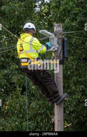 Workman, telecoms engineer, working at height up the top of a telegraph ...