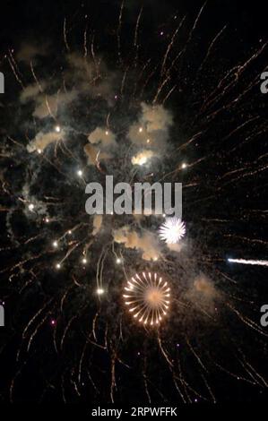 Fireworks display at National Fish and Wildlife Foundation's ...