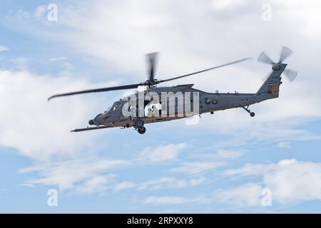 UH-60 Black Hawk aircraft provide transport and medevac support for ...