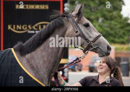 ANDREW BALDING, RACE HORSE TRAINER, 2021 Stock Photo - Alamy