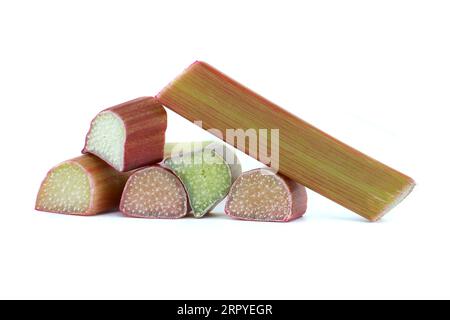 Group of rhubarb pieces in various shapes and sizes arranged in a ...