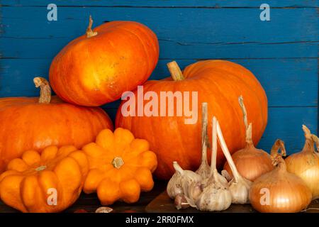 Pumpkin fruits are a type of botanical berry known as a pepo ...