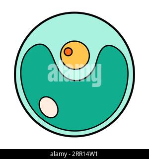 Amoeba proteus science icon with nucleus, vacuole, contractile. Biology ...