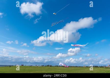 Kites at so-called Drachenwiese, Norddeich, Lower Saxony, Germany ...