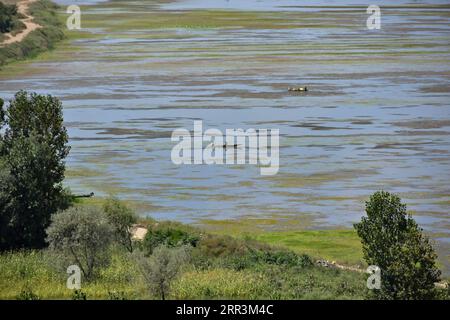 Wular Lake, Kashmir Stock Photo - Alamy