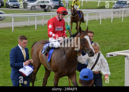 horse Spirit Dancer and jockey Oisin Orr Stock Photo - Alamy