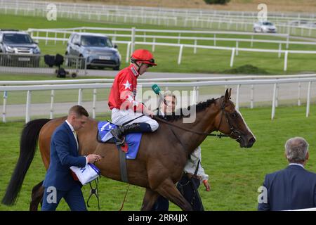 horse Spirit Dancer and jockey Oisin Orr Stock Photo - Alamy