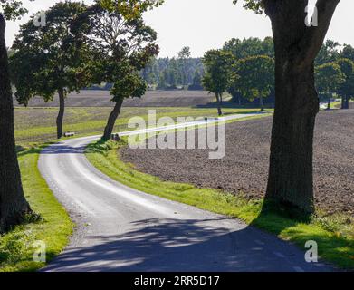 Curve asphalt road along the small pond to the countryside farm in ...